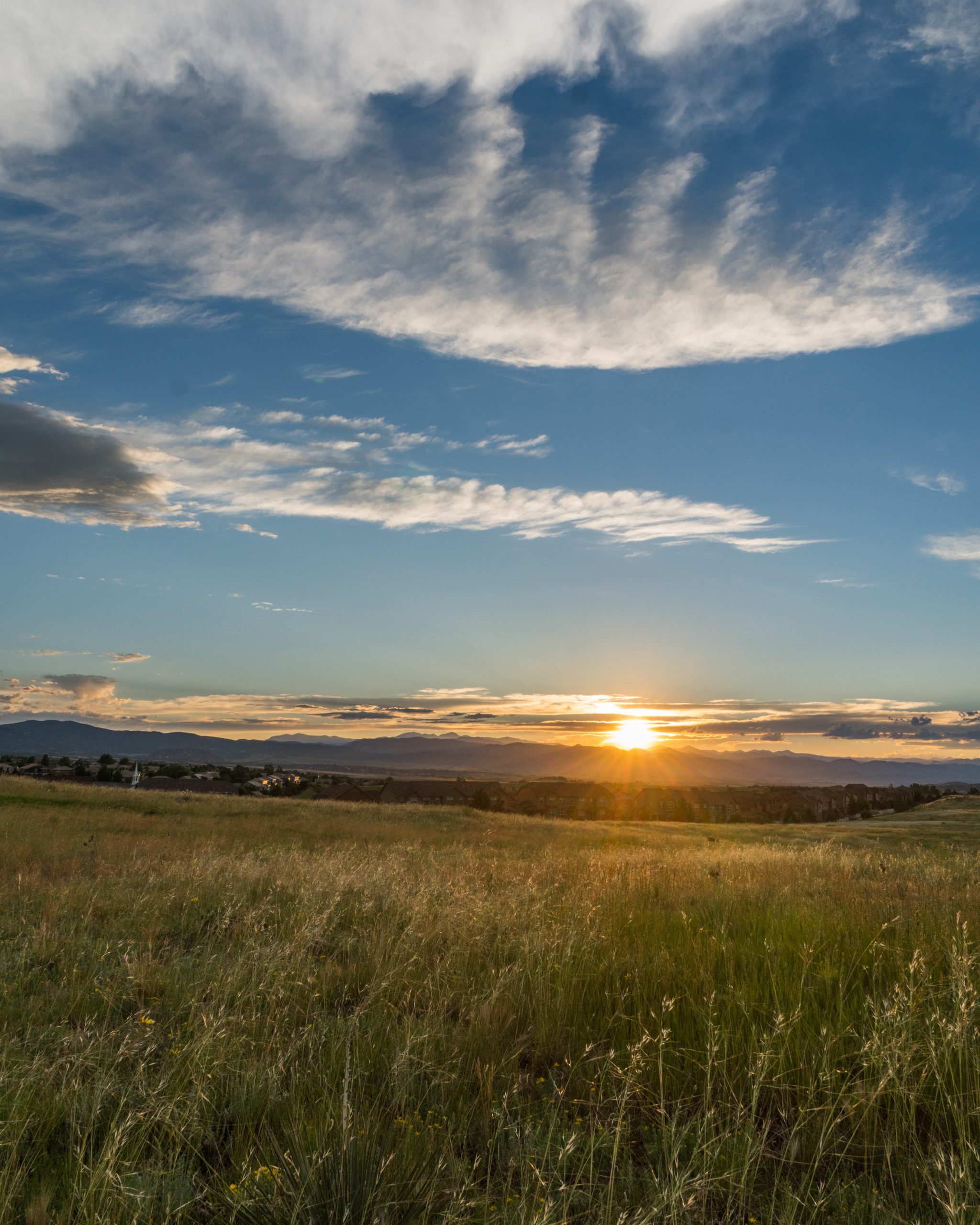 Sarasin Food and Agriculture Opportunities - Sarasin & Partners UK